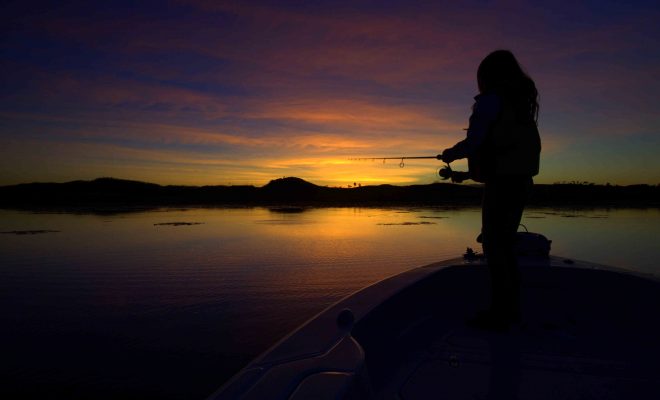 Counting fishers, not fish - VRFish