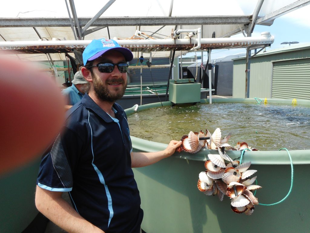 Bringing a desert back to life - VRFish