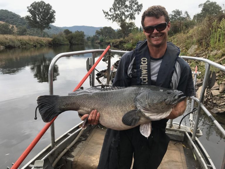 The Mitta Mitta Rehabilitation Project - VRFish