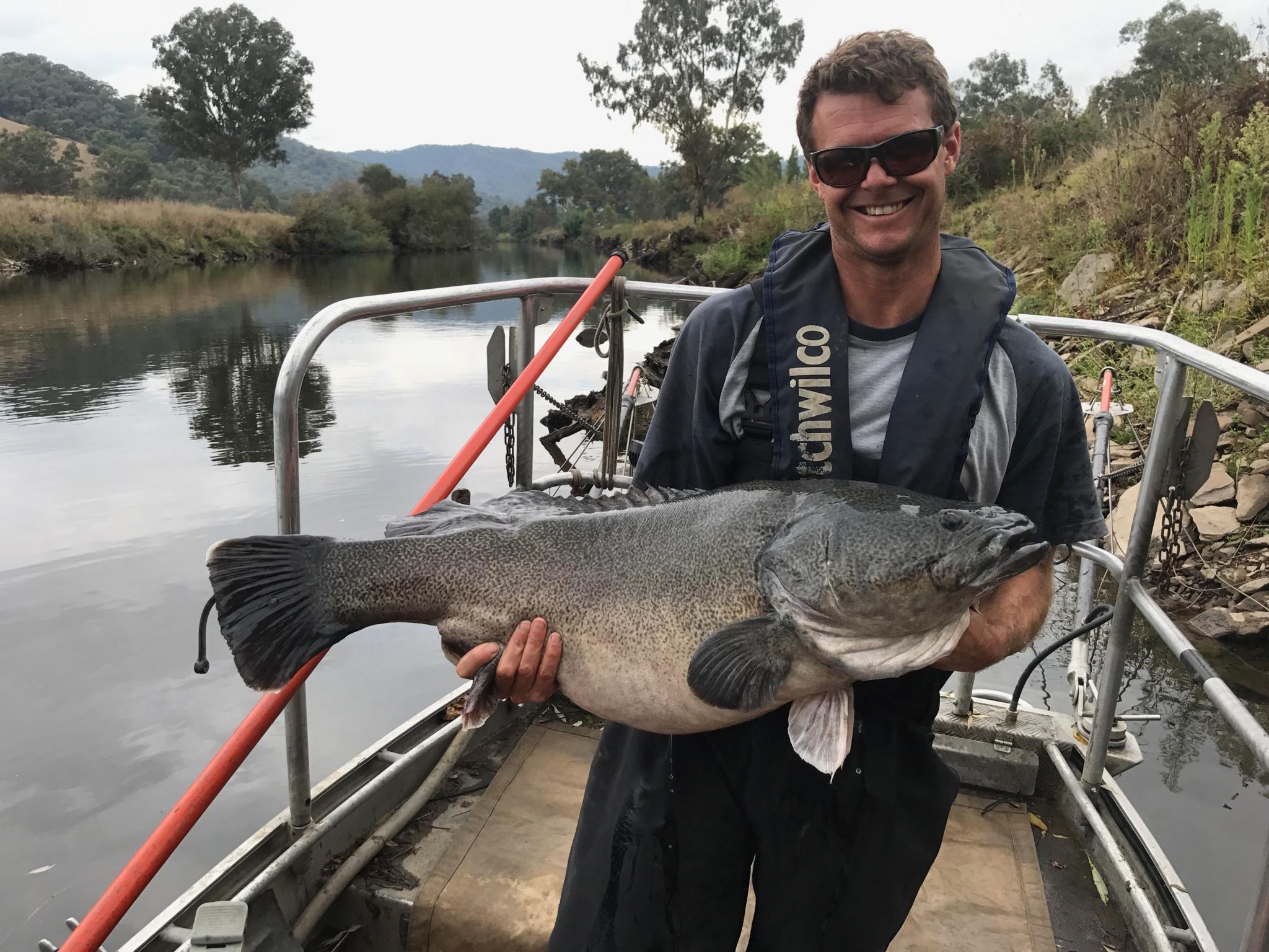 The Mitta Mitta Rehabilitation Project - VRFish