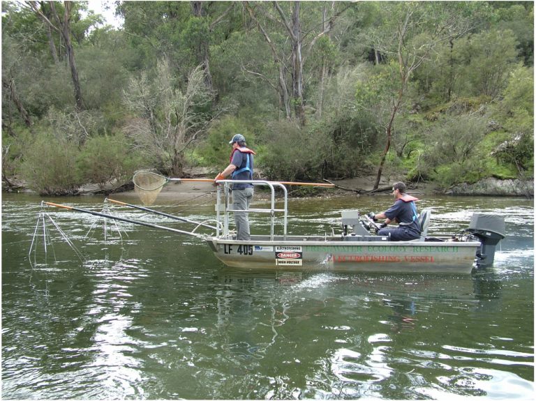 Electrofishing: a great research tool! - VRFish