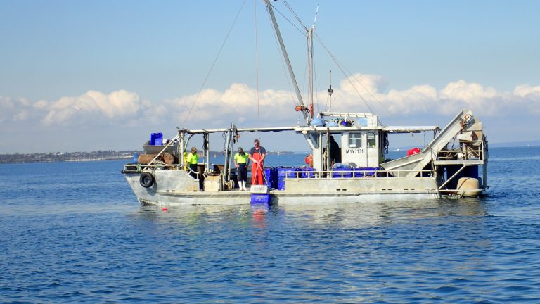 Great Southern Seascapes Program - VRFish