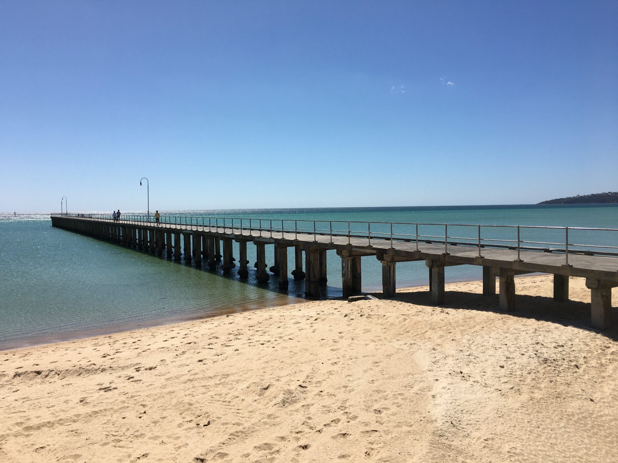 Dromana Pier Design - VRFish